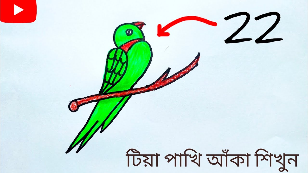 How to Draw a Parrot from 22 Step by Step for Beginners | Easy Parrot ...