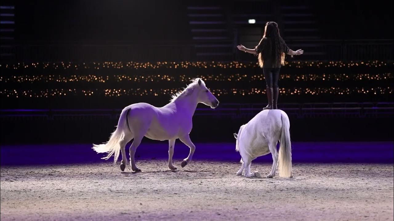 Anne-Gaelle BERTHO - HORSE SHOW 2025 - YouTube