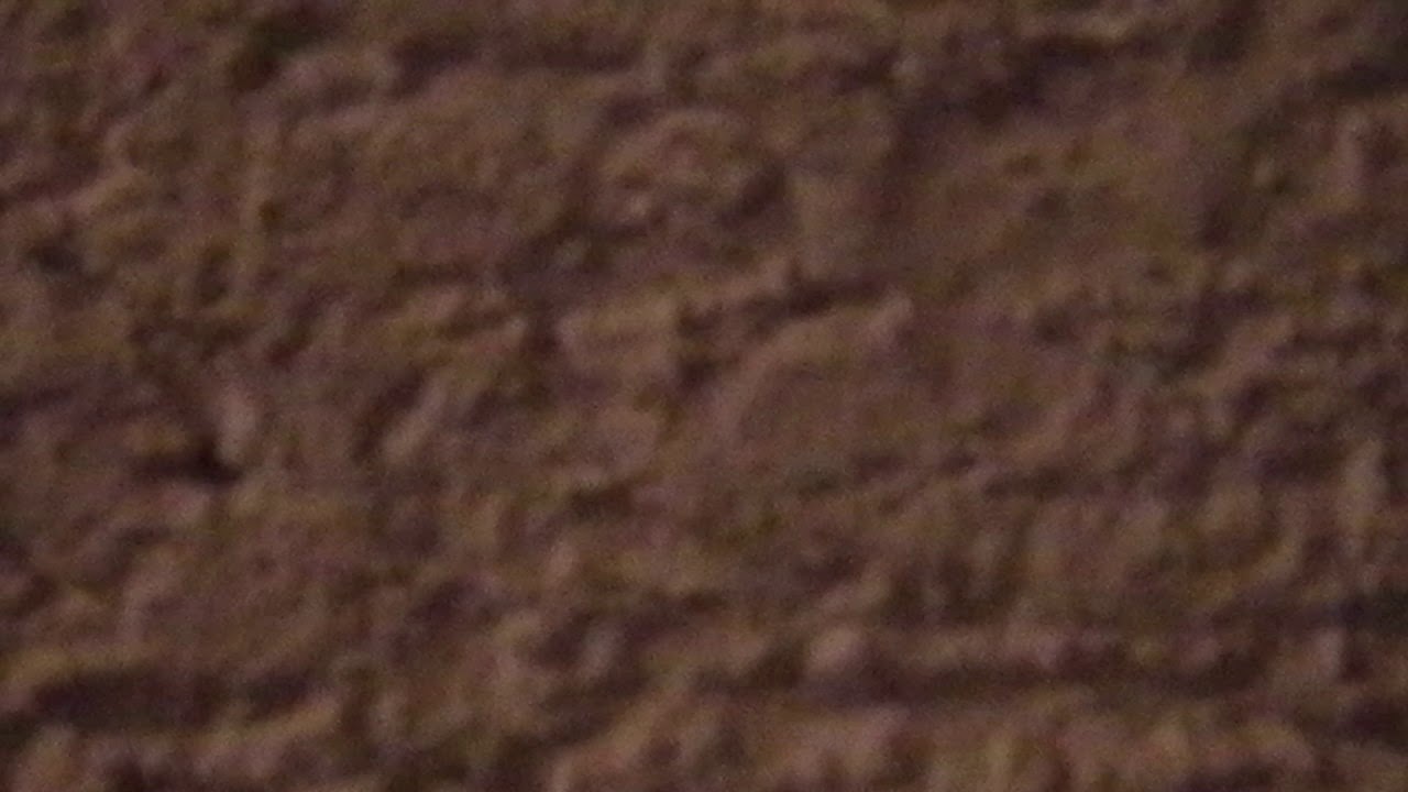 La Mort du Prince - Der Tod des Prinzen - The Death of the Prince - YouTube