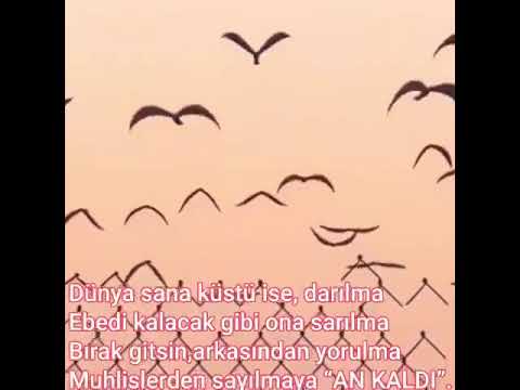 UMUDA YOLCULUK \