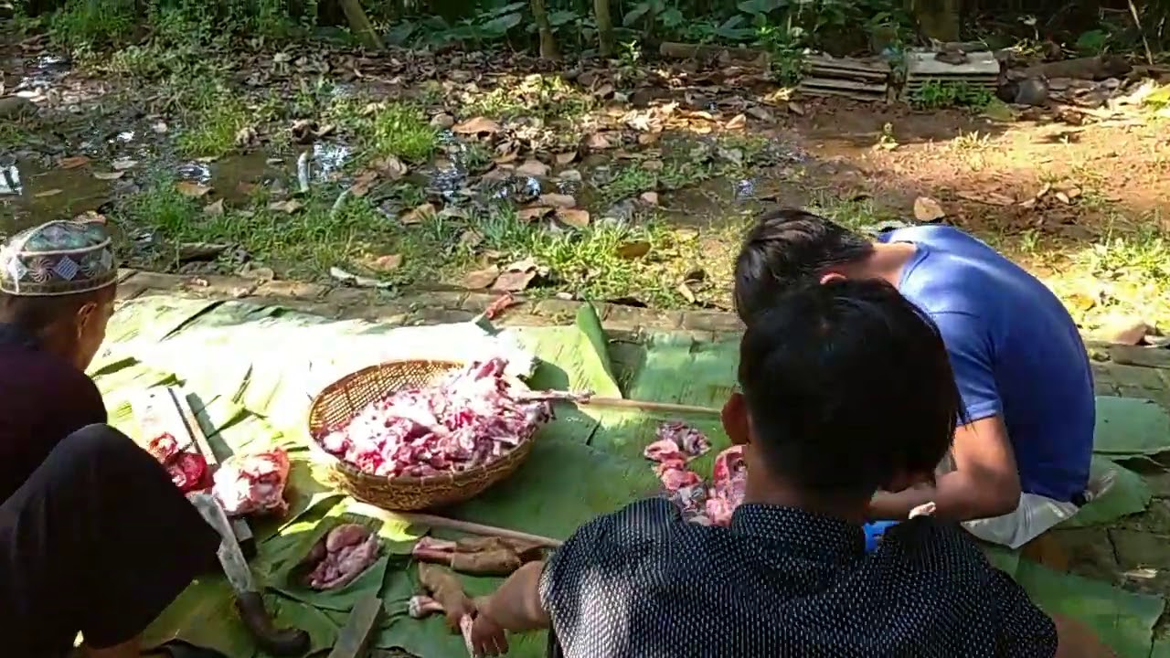 Daging kambing segar - YouTube