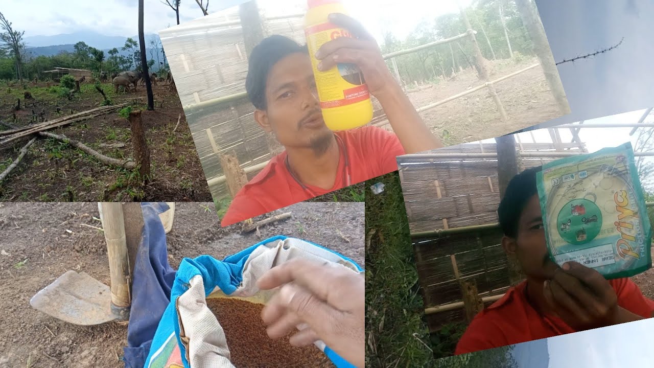 LONG WAY TO JHUM VLOG S S ROAD // LAMA GALAO VLOG BAKHURMA HADING - YouTube