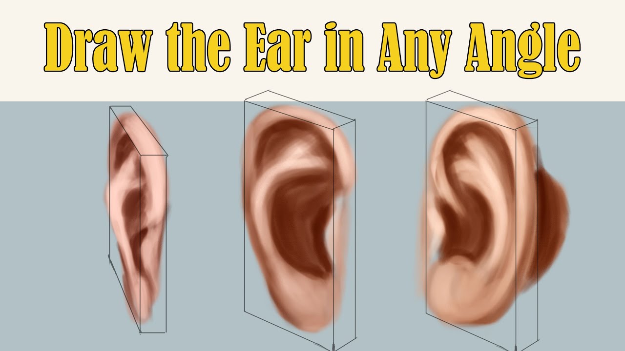 Draw the Ear in Different Angles - YouTube