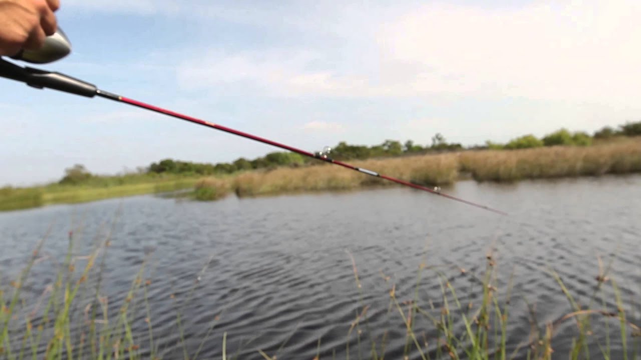 Peace. Quiet. Fishing. All available at a national wildlife refuge near ...