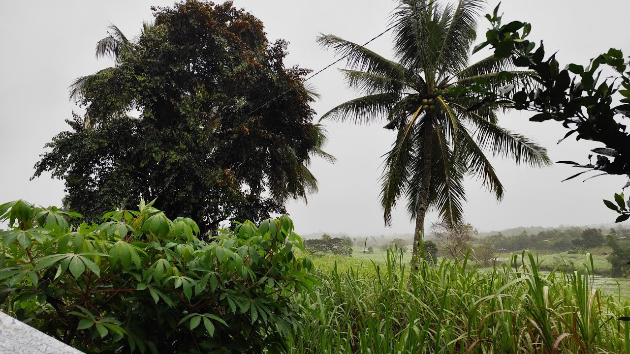 || Road trip to Brgy.Santo Niño, Tanjay City || Beauty of nature ...