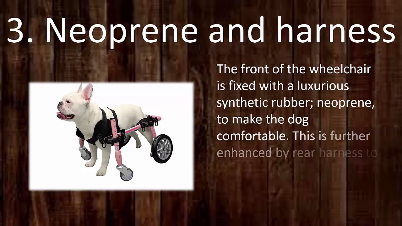 Features of Dog Wheelchair: Sitgo - YouTube