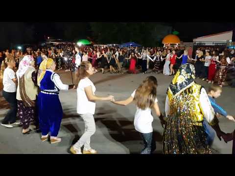 KıNa Gecesi  29 \