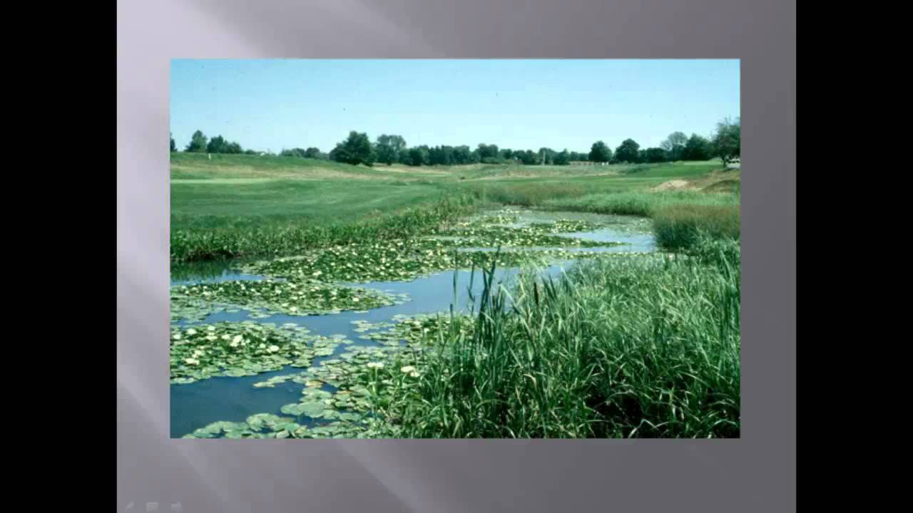 AP Biology Summer Assignment Chapter 52 Intro to Populations - YouTube