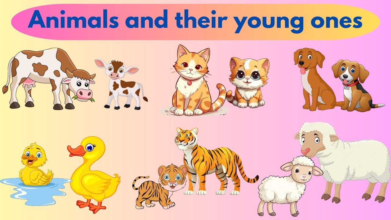 Animals and their young ones | Animals and their babies | Animals Video ...