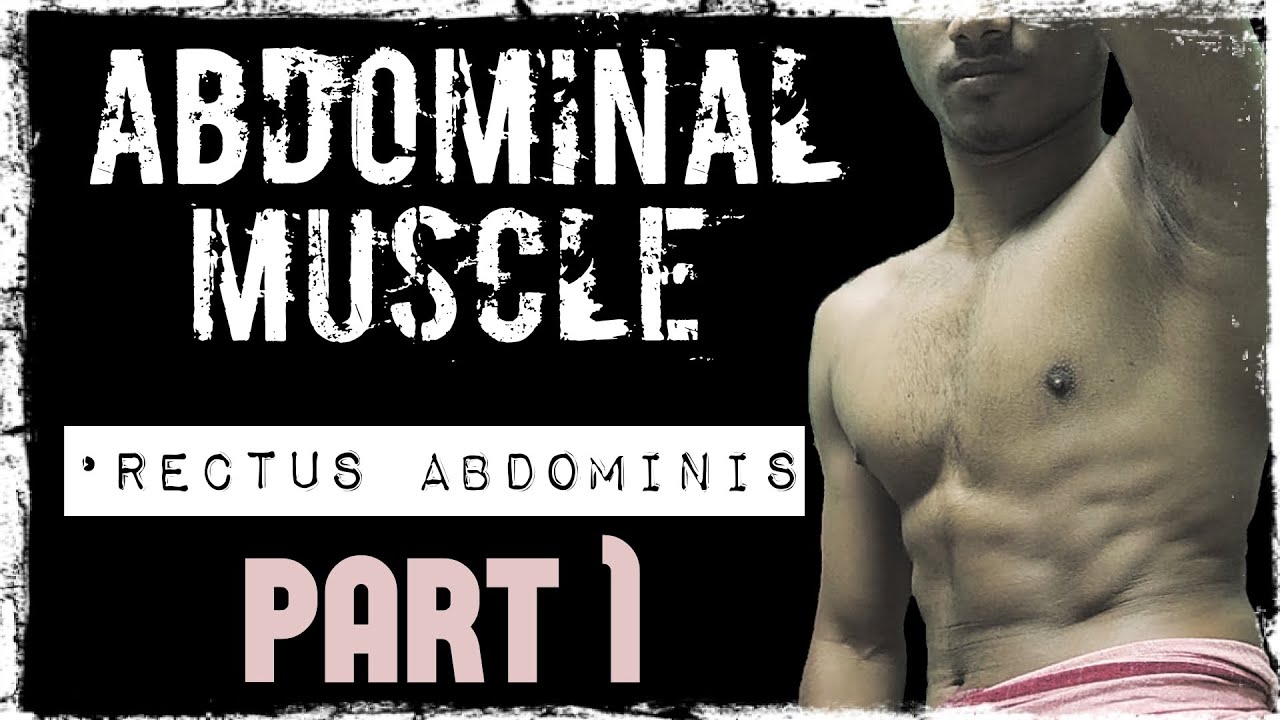 ABDOMINAL MUSCLE | EXERCISES | PART-1 | RECTUS ABDOMINIS | Train With ...