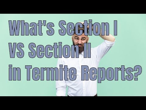 What Is A Separated Report For Termites