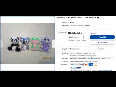 Ebay Auction for some rare beanie boos. Kiwi, Kooky, Blueberry, Kooky ...