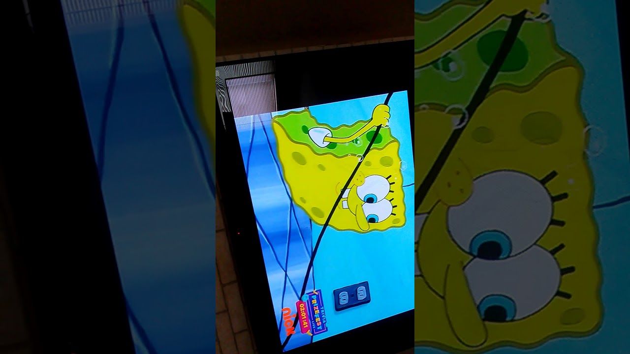 Single cell anniversary by spongebob squarepanyis - YouTube