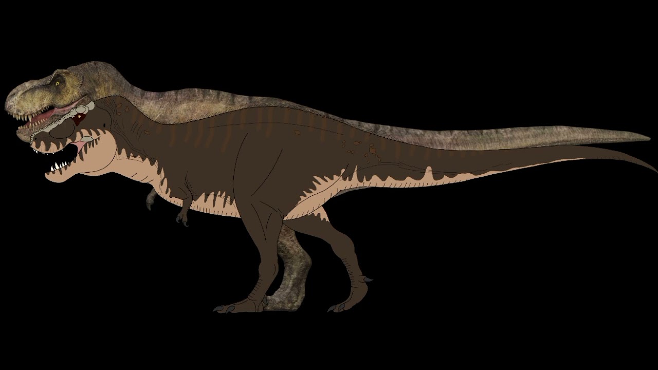 rexy vs irl t-rex size comparison - YouTube
