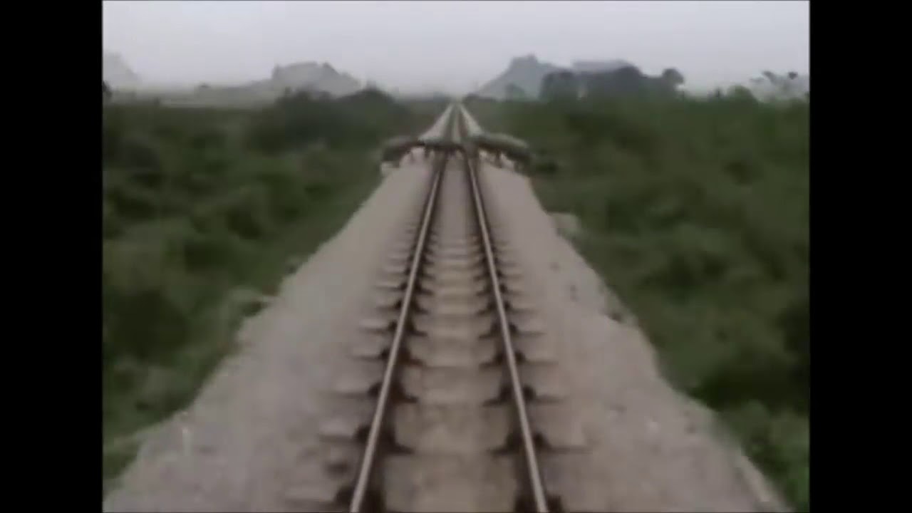 high speed train Vs crazy cows 720 X 1280 - YouTube