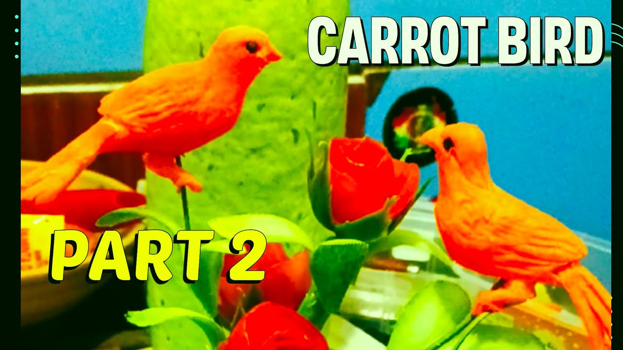 Carrot Bird Part 2🥕🐦‍⬛ - YouTube