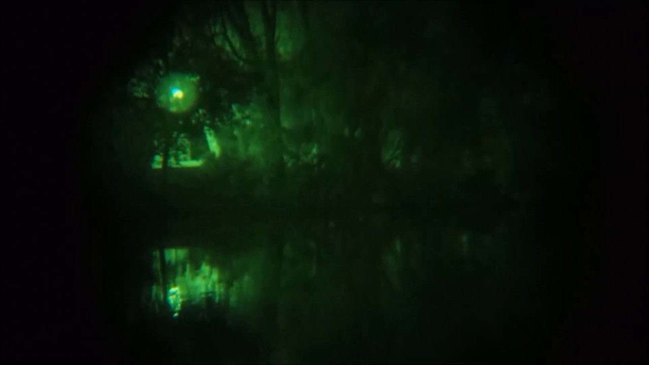 Yuma Myotis (bat species) drinking and foraging at Scripps Ranch ...