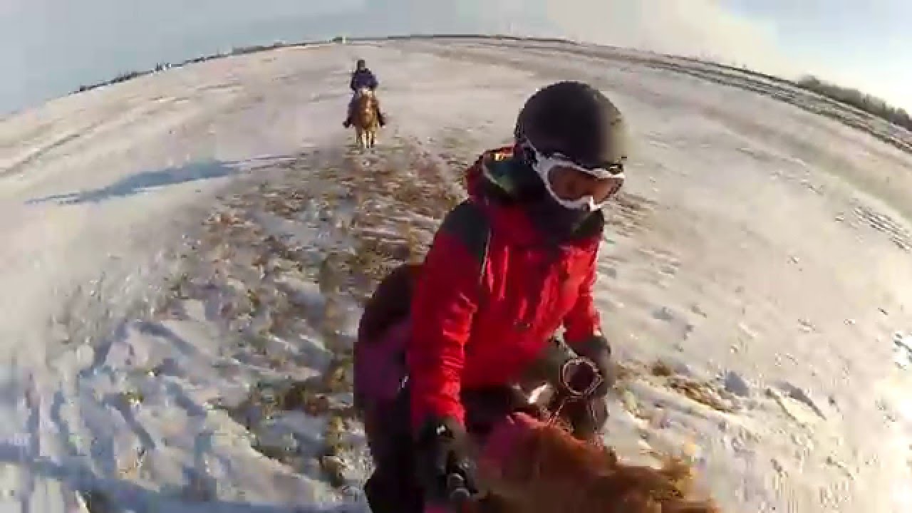 GOPRO Hero 2 horseback riding - YouTube
