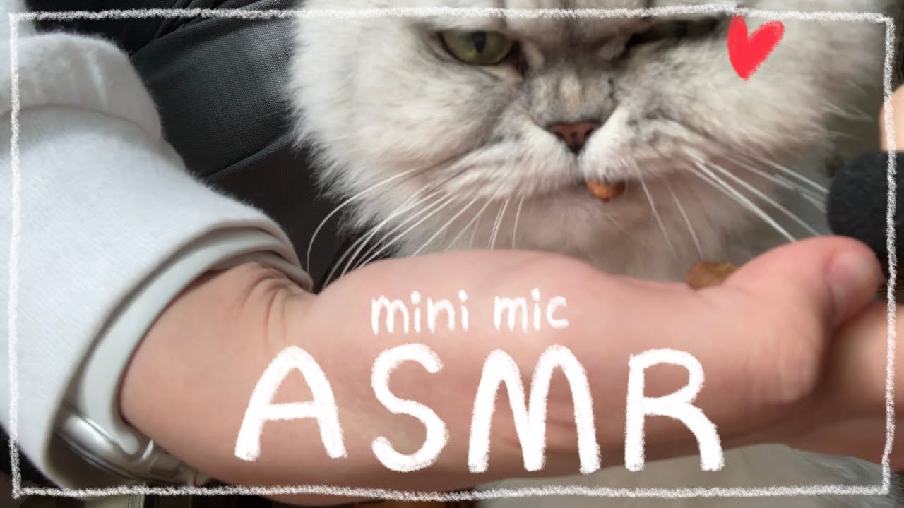 미니 마이크 ASMR (mini mic ASMR) - YouTube