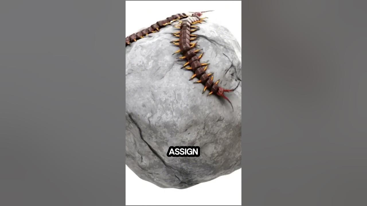 Simulate Insect Swarms in Blender | Insect Swarm - YouTube