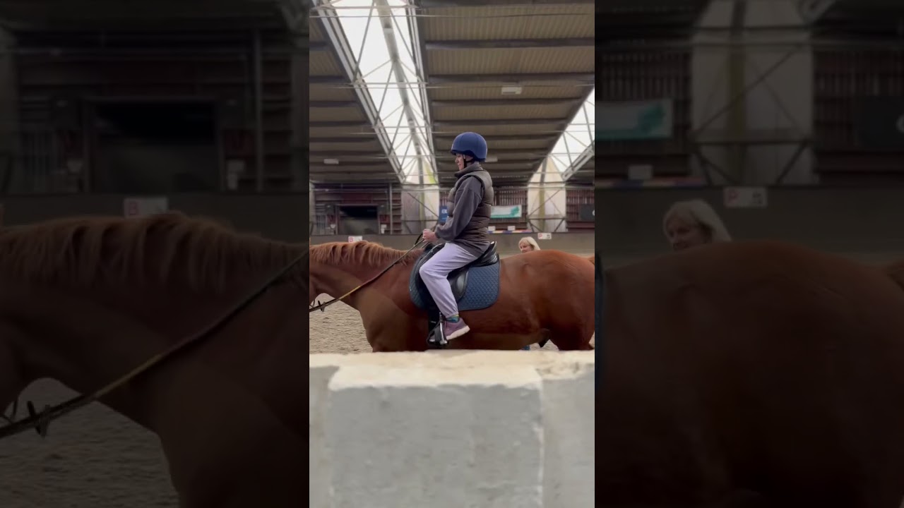 Horse Riding For Disabled People #animals - YouTube