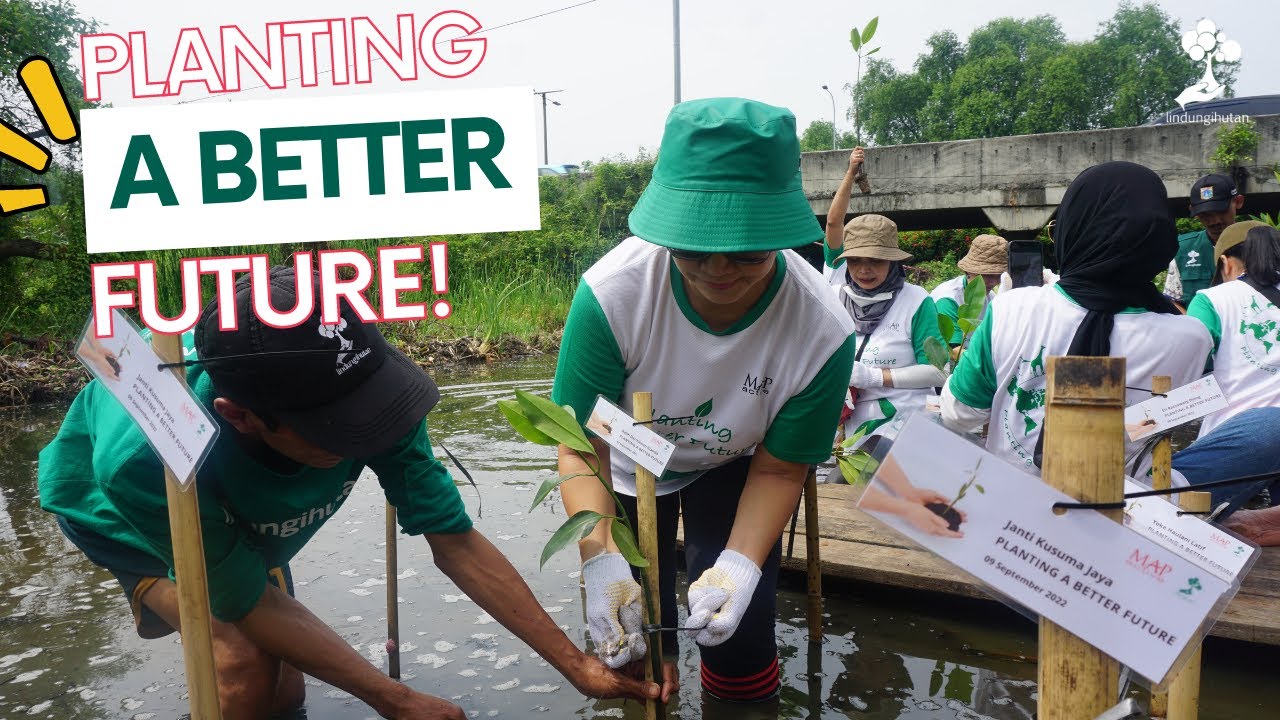 PT Map Aktif Adiperkasa Tbk (MAPA) x LindungiHutan: Planting A Better ...