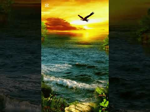 AYRI BİR DÜNYA🎻 (Official Video)