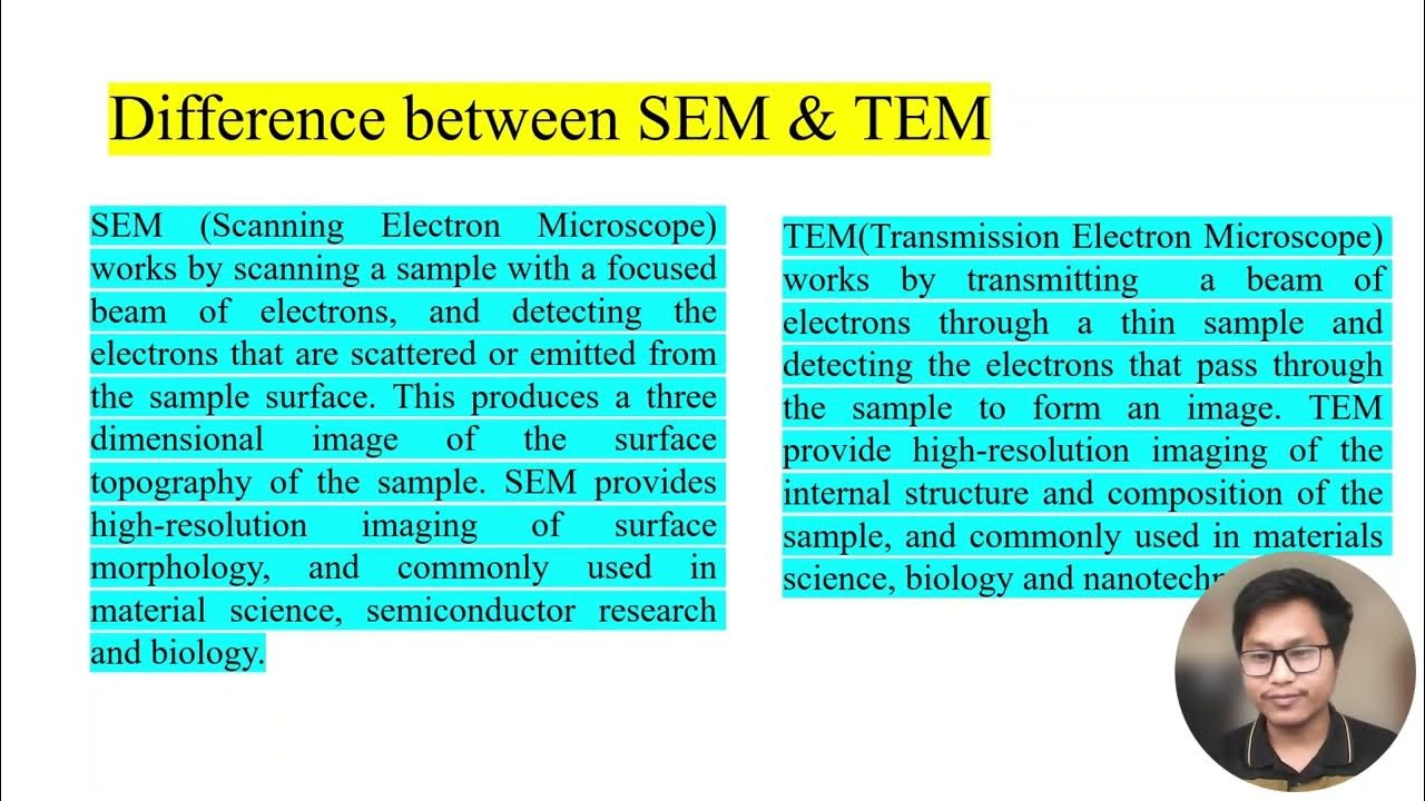 SEM VS TEM #what is the basic difference between SEM & TEM #research - YouTube