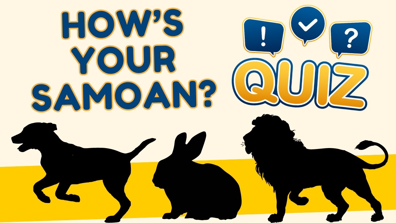 FAMILY FUN QUIZ : TEST YOUR SAMOAN LANGUAGE SKILLS! - YouTube