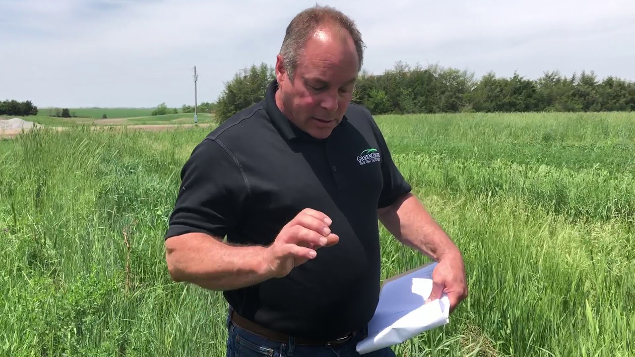 Dale Strickler | Perennial Forage Test Plot | Winter Survival - YouTube