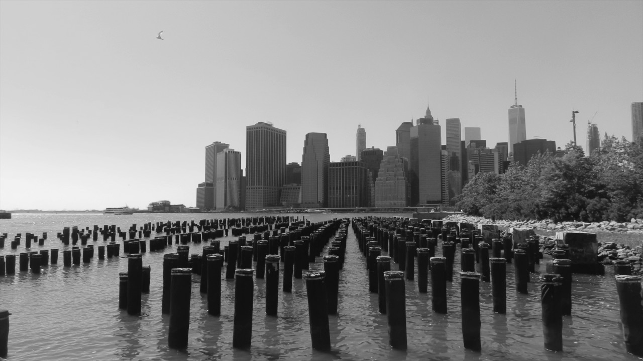 Elijah Joy “Elijah’s Joy” - YouTube