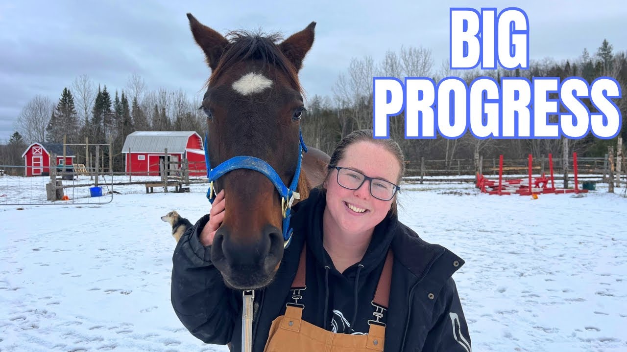 Phoenix Training Update | Big Progress This Week - YouTube