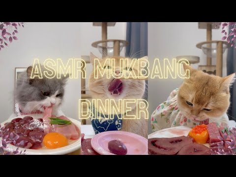 ASMR Cat Mukbang Dinner 🥩🦌#cat #catseating #asmr #mukbang #asmrmukbang# ...