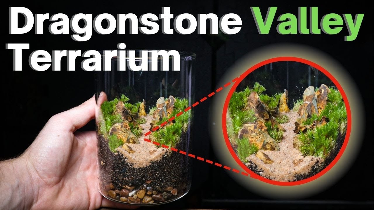 How I Made a Dragonstone Valley Terrarium - YouTube