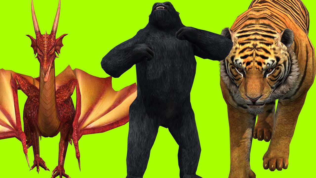 Finger Family Rhyme - FIRE DRAGON,KING KONG,TIGER Version | Funny ...