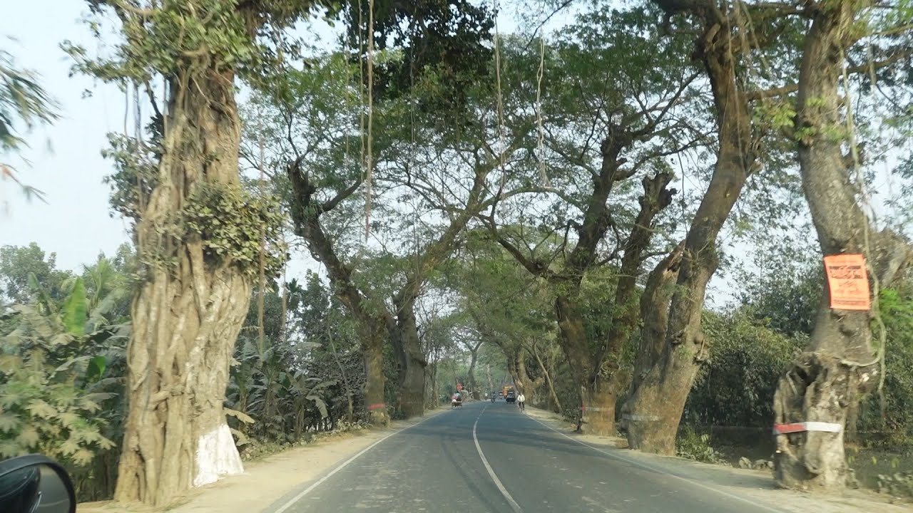 যশোর রোডের গাছ | Jessore Road | Road Side Trees | Explore Beautiful ...