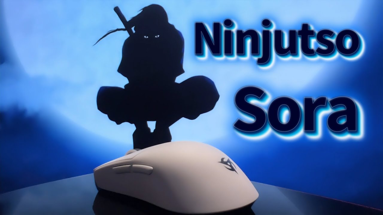 Ninjutso Sora: In-Depth One Month Review! - YouTube