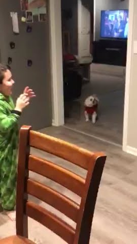 bmmm evil laugh start... and continues - YouTube