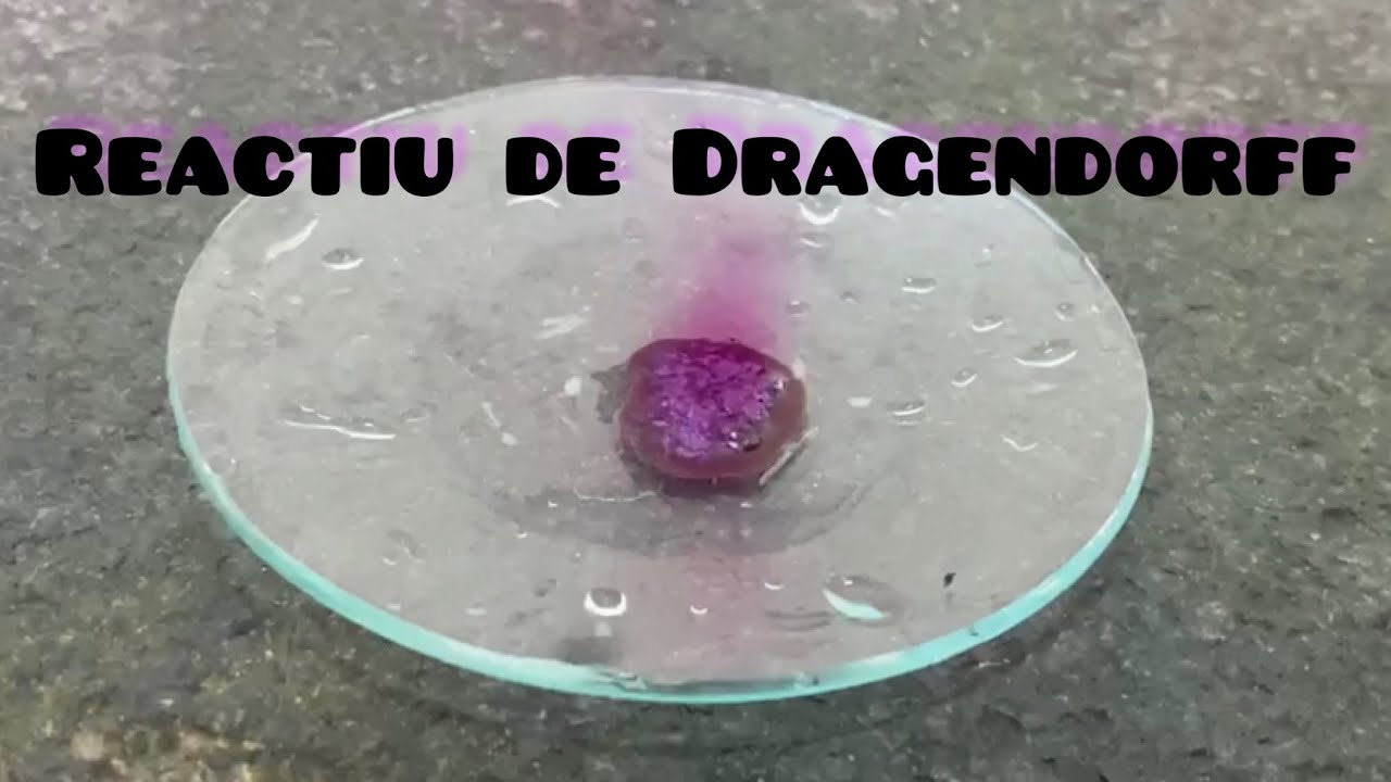 Prova del reactiu de Dragendorff - YouTube