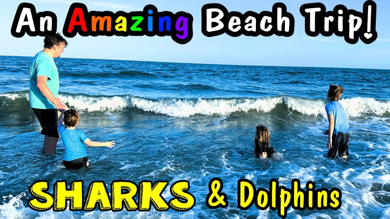 Labor Day Quick Beach Trip - We see SHARKS, Dolphins, and more! We ...