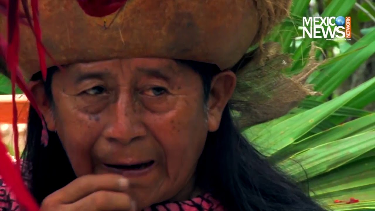 Musica y Danza Mayapax - YouTube