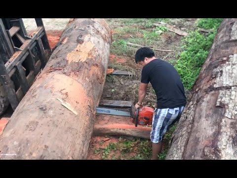 Saws And Saws For Raw Materials || Amazing Wood Saw Machine Working In ...