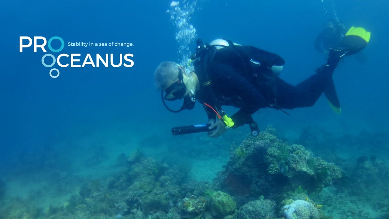 Pro-Oceanus - Innovative Sensors for Monitoring Aquatic Processes on a ...