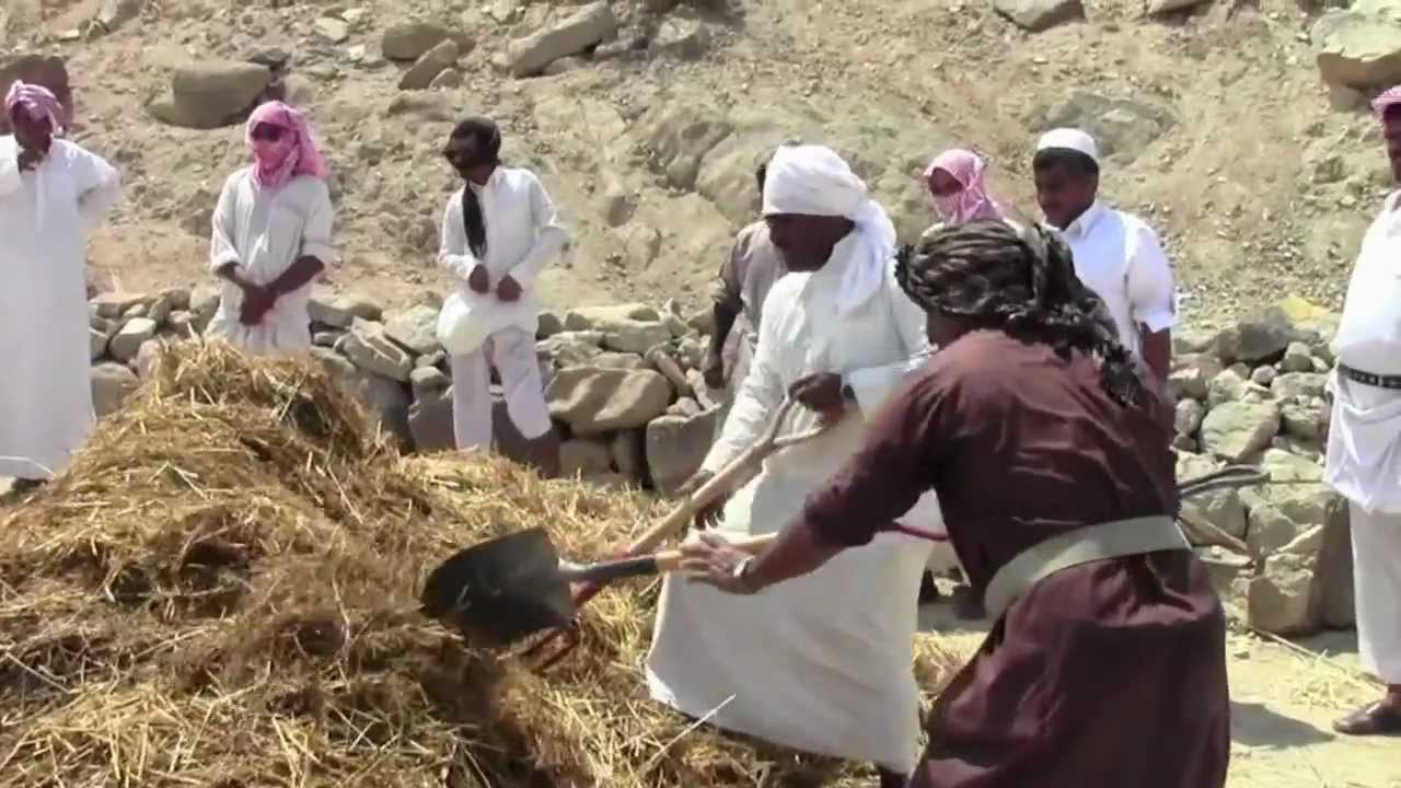 First Turn of the First Compost in Al Baydha - YouTube