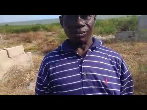 What you need to know about Torgbui Tsali(2) - YouTube