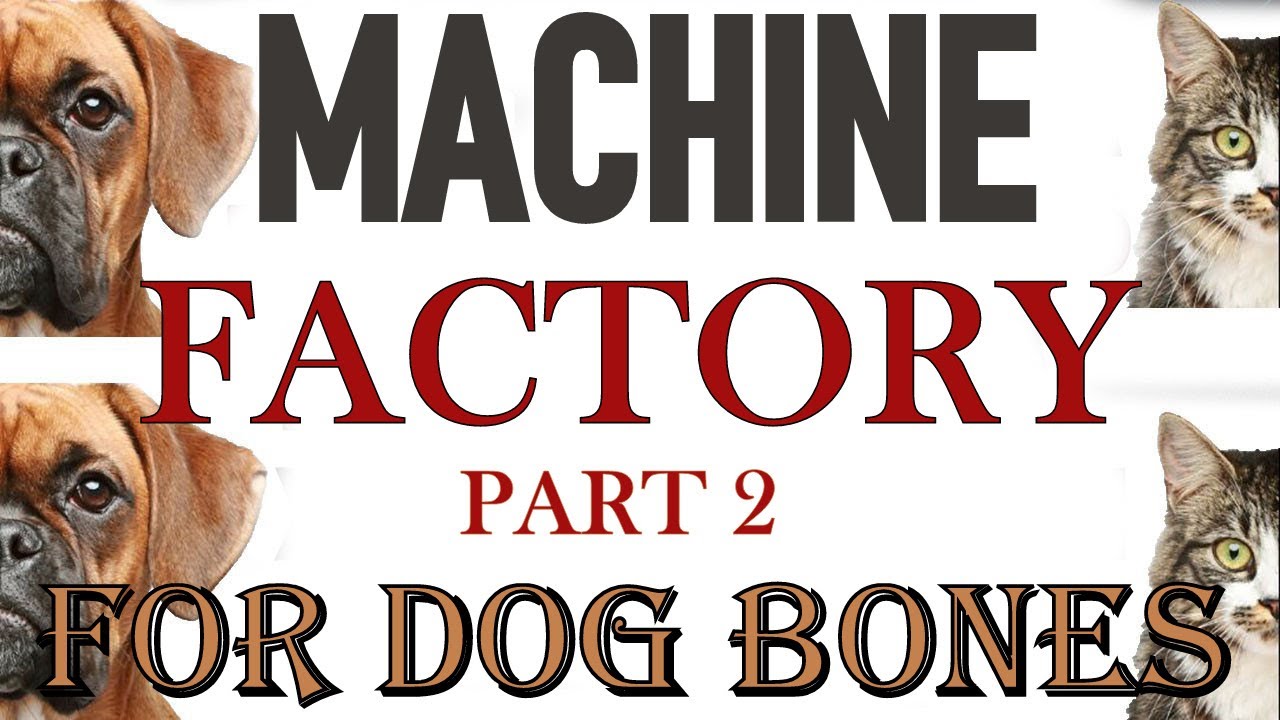 Trendystock visit a factory for the production of dog bones machines ...
