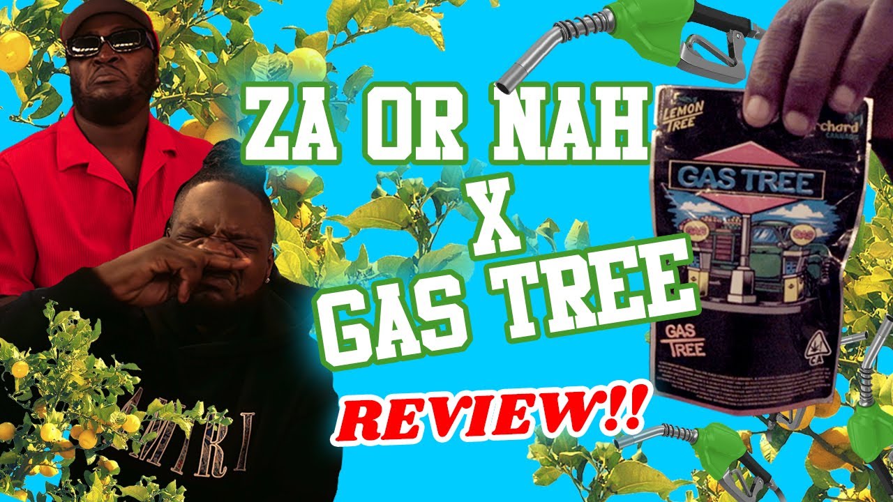 GAS TREE BY LEMON TREES, IS IT ZA OR NAH?? - YouTube