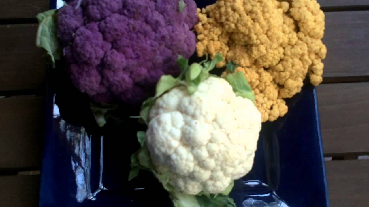3 Varieties of Organic Cauliflower - YouTube