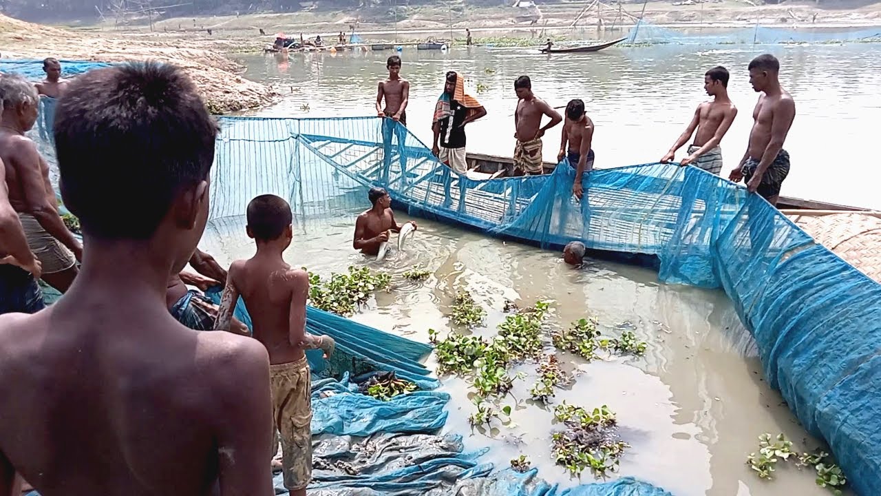 Net Fishing |Traditional Catching Fish With Net | Amazing Boys Catching ...