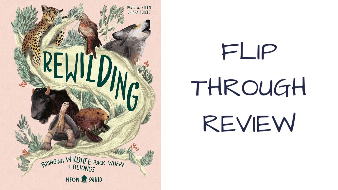 Rewilding: Conservation Projects Bringing Wildlife Back Where It ...